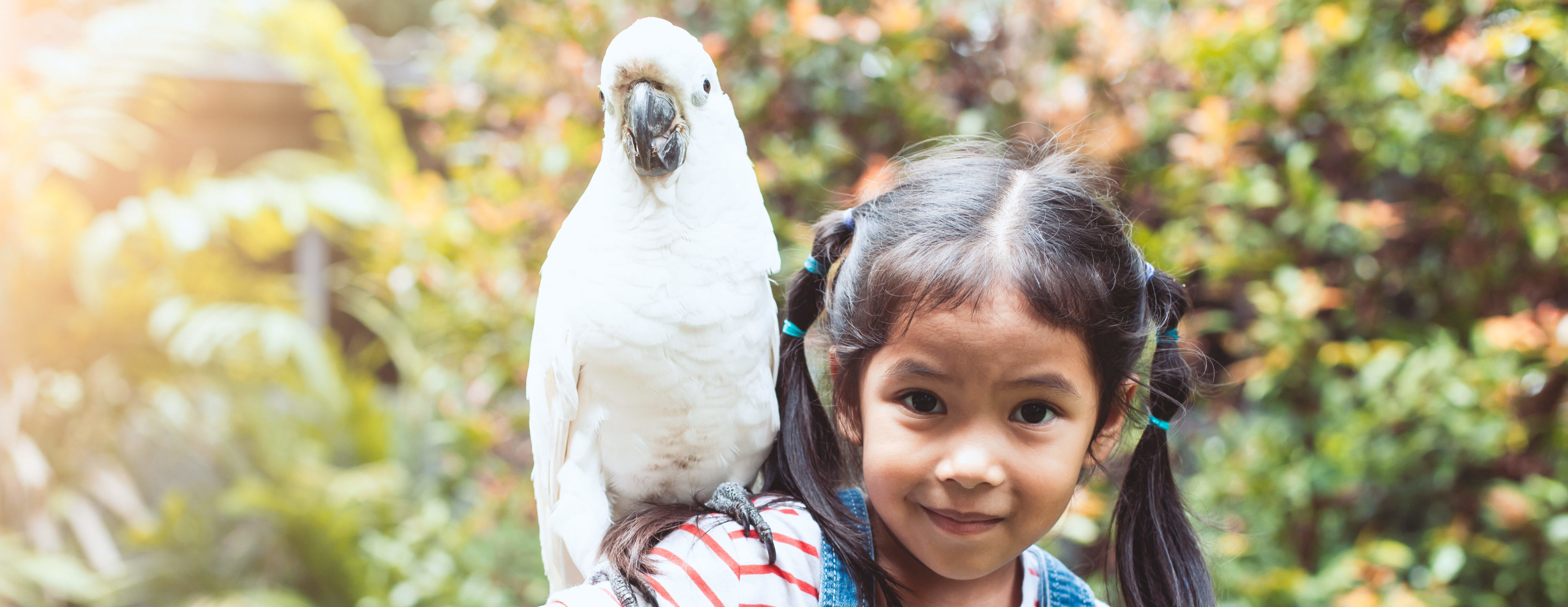 Say Hello to Mike's Critters at Lynn Valley Shopping Centre - Lynn ...